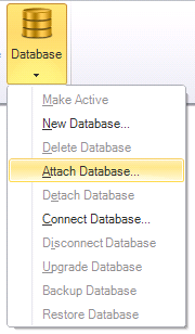 Attaching SQL Server Configuration Database Using the Web Services Provider